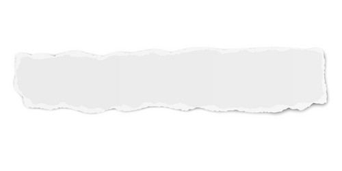 Oblong paper tear with soft shadow isolated Vector Image