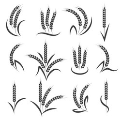Barley Vector Images (over 33,000)