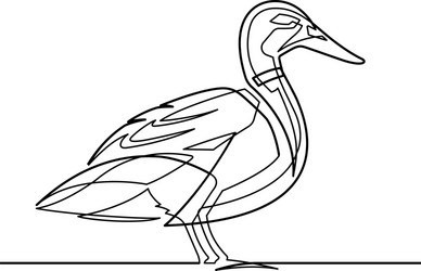 Continuous Line Vector Images (over 130,000)