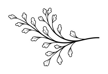 Line art branch Royalty Free Vector Image - VectorStock