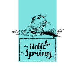 Cute groundhog greeting spring steps with poster Vector Image