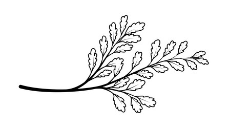 Line art branch Royalty Free Vector Image - VectorStock