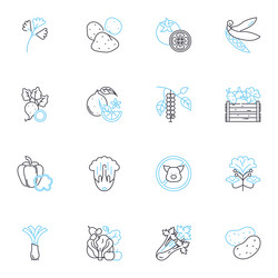 Micro Nutrients Vector Images (73)