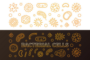 Bacterial Cell Structure Vector Images (over 870)