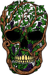 Hand drawn goldfinch on grape branches sketch Vector Image