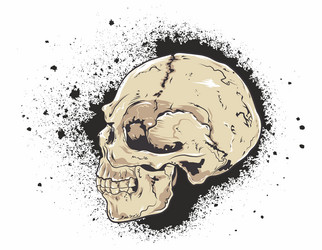 Skull Side Vector Images (over 980)