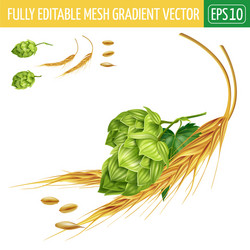 Hops Vector Images (over 44,000)