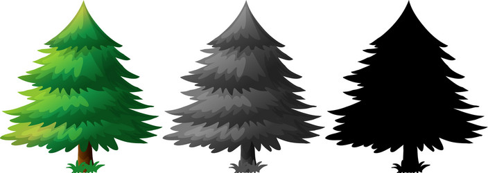 Set of pine tree Royalty Free Vector Image - VectorStock