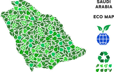 Environment saudi arabia map Royalty Free Vector Image