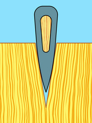 Cleavage Vector Images (over 1,100)