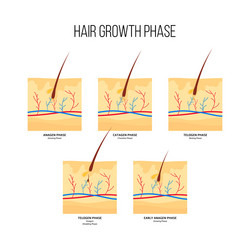 Phase Vector Images (over 19,000)