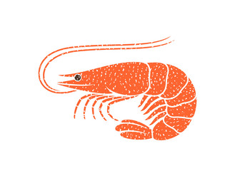 Shrimp Royalty Free Vector Image - VectorStock