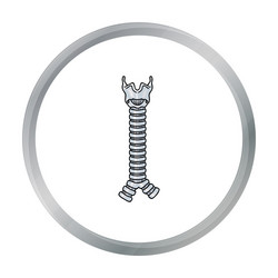 Human trachea icon in cartoon style isolated Vector Image
