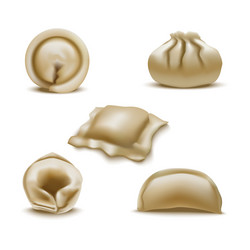 Realistic 3d detailed dumplings set traditional Vector Image