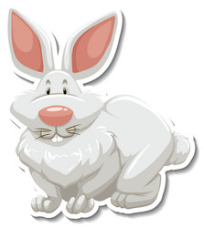 Rabbit cartoon character on white background Vector Image