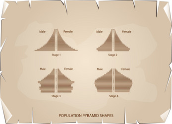 Paper art of different types population pyramid Vector Image