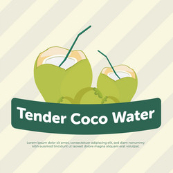 Drink fresh coconut water banner design Royalty Free Vector