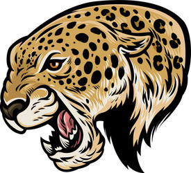 Angry leopard mascot Royalty Free Vector Image