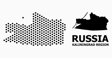 Solid and wire frame map kaliningrad region Vector Image