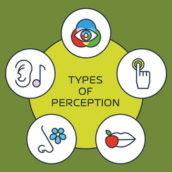 Five senses of human perception poster icons Vector Image