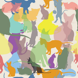 Colorful cat collage Royalty Free Vector Image