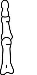 Skeleton Finger Vector Images (over 3,000)