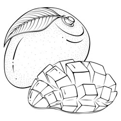 Mango Black and White Vector Images (over 4,800)