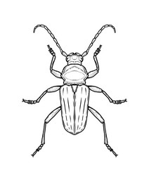 Dead Bug Vector Images (over 1,700)