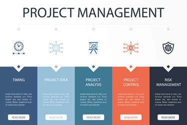 Timing project idea project analysis project Vector Image