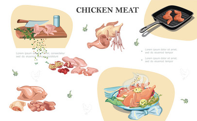 Chicken meat parts with names cuisine poster Vector Image