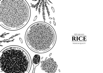 Frame with rice hand drawn vintage style Vector Image
