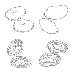 Isolated object raisin and dry symbol set Vector Image