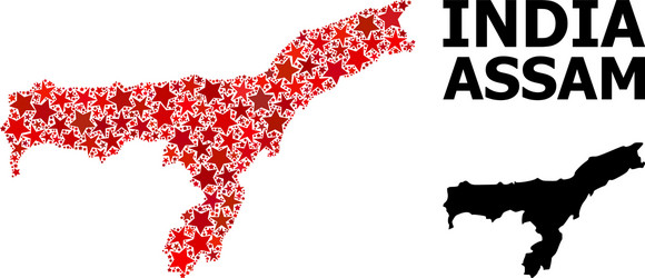 Red lovely mosaic map assam state Royalty Free Vector Image