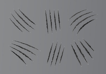 Torn paper edge scary leceration surface Vector Image