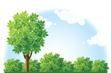 Green bushes and tree crown with white flowers Vector Image