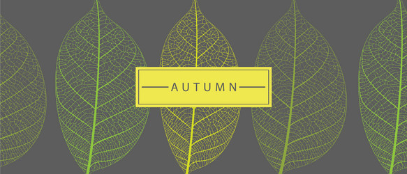 Leaf cover template Royalty Free Vector Image - VectorStock