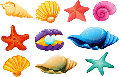 Cartoon seashells summer beach sea shells Vector Image