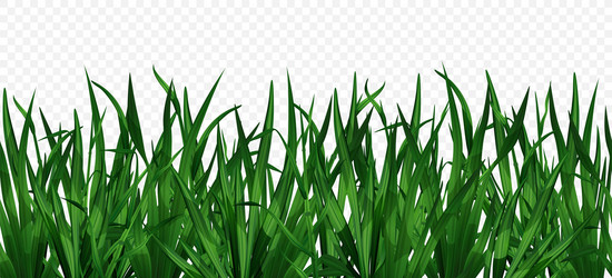 Super realistic grass Royalty Free Vector Image