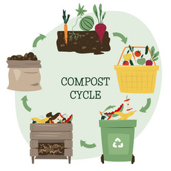 Compost life circle infographic composting Vector Image