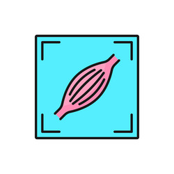 Mri scan diagnostics color icon medical radiology Vector Image