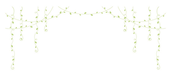 Green hanging vines simple minimal floral Vector Image