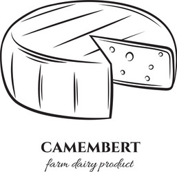 Camembert cheese dairy product sketch drawing Vector Image
