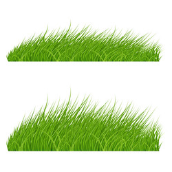 Green grass Royalty Free Vector Image - VectorStock