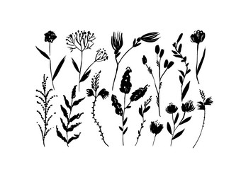Wild Flowers Silhouette Vector Images (over 16,000)