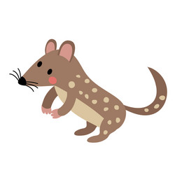 Quoll Vector Images (over 100)