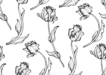 Beautiful hand drawn corner composition Royalty Free Vector