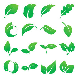 Abstract green leaf shapes icon set Royalty Free Vector