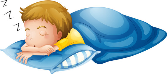 A young boy sleeping Royalty Free Vector Image