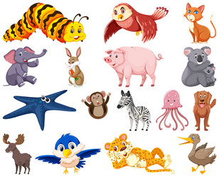 Animals Blank Vector Images (over 29,000)