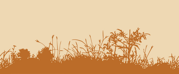 Clump of Grass Vector Images (53)